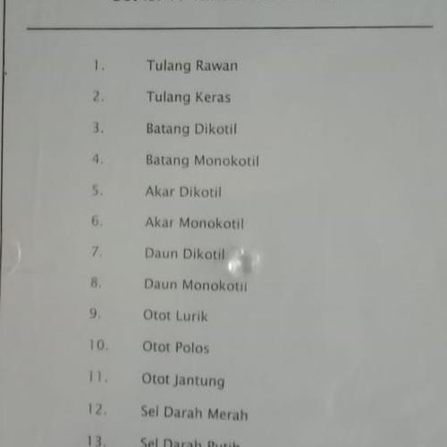 Jual preparat biologi ssn 1 set 17 macam peraga laboratorium - Kota ...