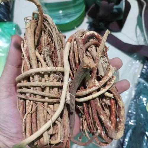 Jual 1KG 1 KG WU ZHI MAO TAO PIAN HISPID FIG ROOT FICUS HIRTA HAIRY ...