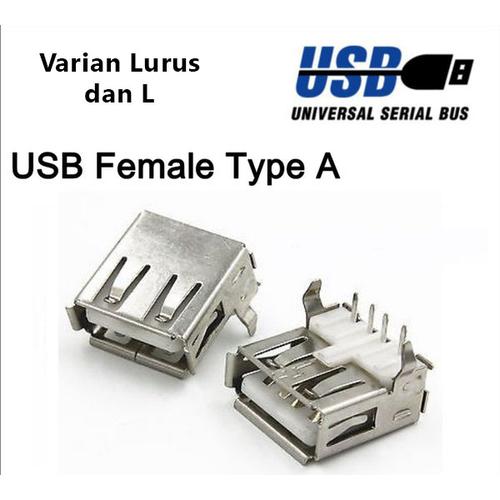 Jual Socket Connector USB Female Type A - L-Shape - Kota Bandar Lampung - Retro Computer | Tokopedia