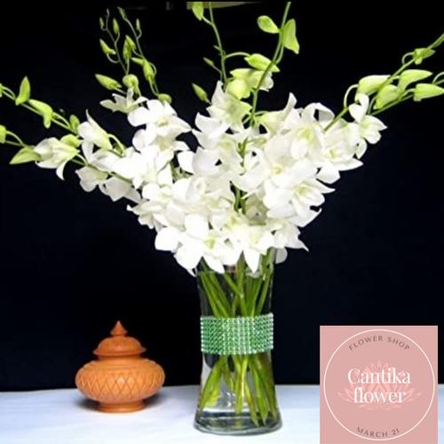 Jual Fresh Cut Dendrobium Orchid / Bunga Anggrek Potong - Putih ...