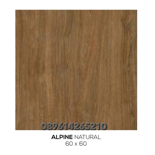 Jual granit 60x60 lantai alpin natural/infinity - Kab. Bogor - Cbs ...