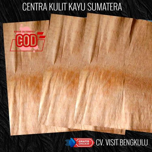 Jual KULIT KAYU LANTUNG SUPER KELAS A 1X1m / KULIT KAYU LEMBARAN ...