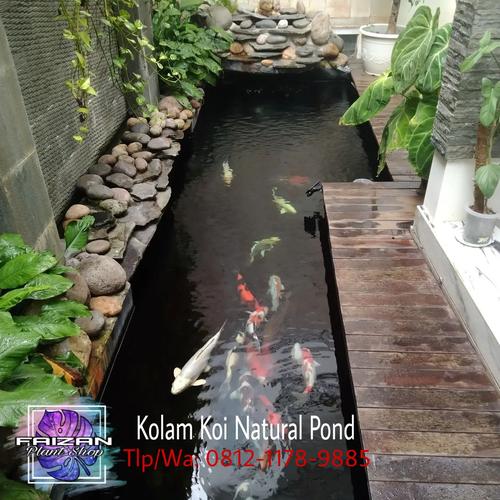 Jual pembuatan kolam koi natural pond,spesialis pembuatan kolam - Kab ...
