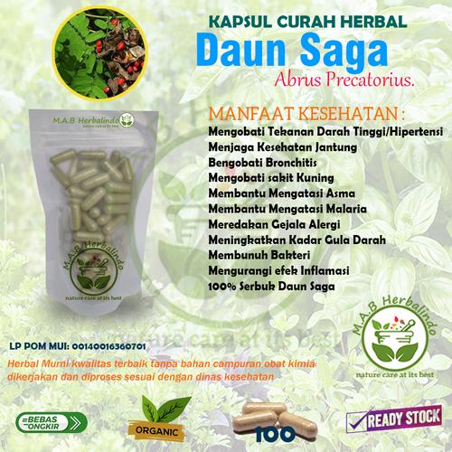 Promo DAUN SAGA 100 Kapsul Herbal Asma Sakit Kuning Alergi Hipertensi ...