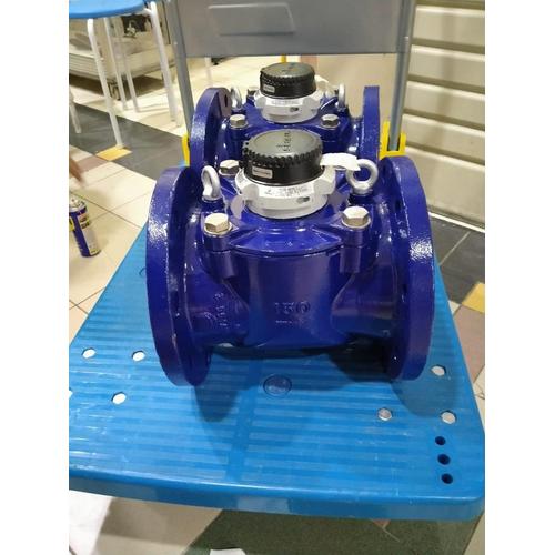 Jual Flow Meter Merks Sensus, Type : Wp-Dynamic, Sizes : 6 Inch ...