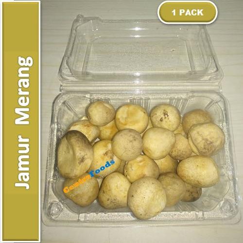 Jual Jamur Merang - Jamur Padi | 200gr [ Harga Per PACK ] - Jakarta ...
