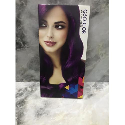 Jual GoColor buku contoh warna katalog pewarna rambut hair color book ...