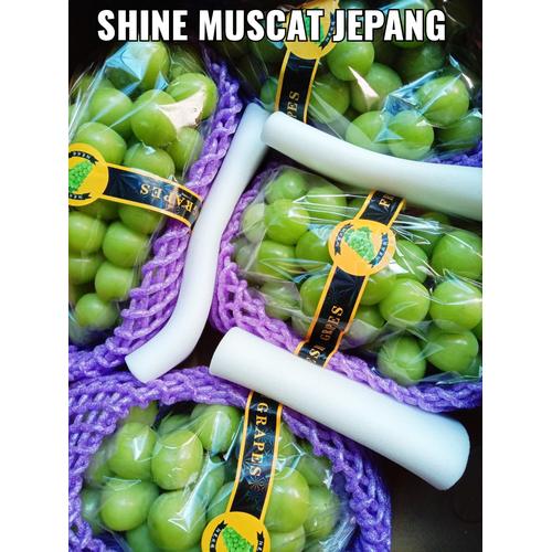 Jual Buah anggur hijau ijo /BOX tanpa biji seedless grapes green ...