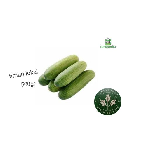 Jual Timun Lokal Organik 500gr - Jakarta Pusat - Agatho organik farm ...