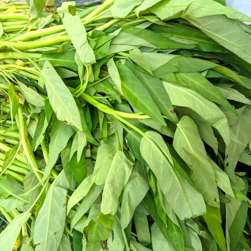 Jual kangkung 1 ikat sayur - Kota Surabaya - tokosayur@pasarpucang ...
