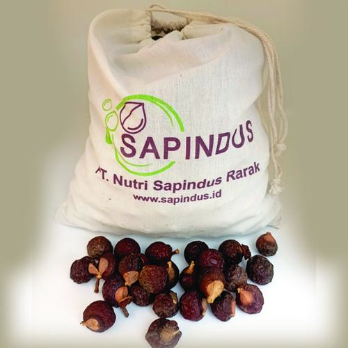 Jual Lerak Pilihan export quality - Kota Bekasi - sapindusrarak | Tokopedia