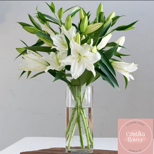 Jual Bunga Lily Putih Segar per Tangkai - Jakarta Barat - Cantika ...