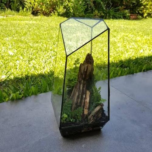 Jual Tank paludarium terarium - Kab. Gresik - NAF Aquatic Design ...