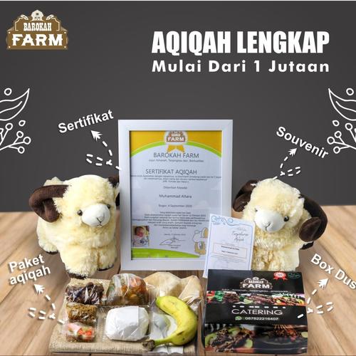 Jual paket aqiqah laki laki Box Jabodetabek - 200 Box - Jakarta Timur ...