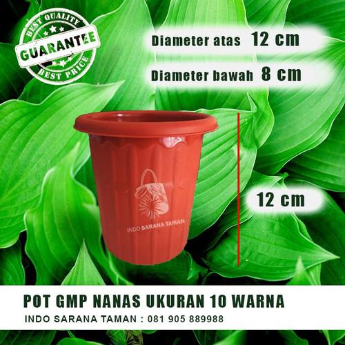 Jual POT GMP NANAS 10 MERAH Pot Tanaman Pot Bunga Pot Tinggi Pot ...