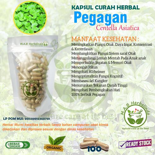 Promo PEGAGAN ANTANAN Kapsul Curah 100 Suplemen Otak Stress Pikun ...
