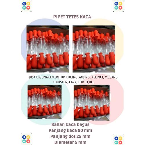 Jual PIPET TETES KACA pippet Drop Kaca Pipet Kucing Anjing Pipet Obat ...
