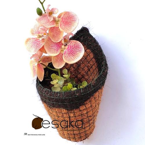 Promo Pot Anggrek D.20 Besar - Pot Tempel - Pot Kerucut - Pot Tanaman ...