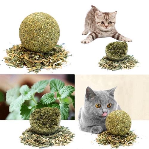 Jual Catnip kucing anti stress catnip ball bulat cat bola cat nip - Bulat - Jakarta Barat ...