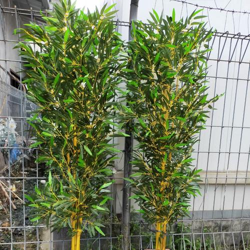 Jual POHON BAMBU PLASTIK/BAMBU SUDUT/HIASAN RUMAH/BUNGA ARTIFICIAL ...
