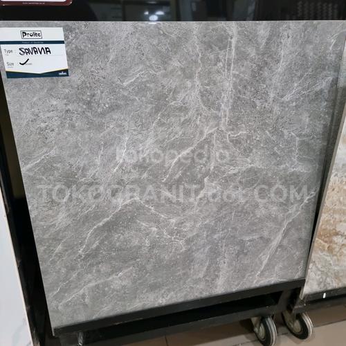 Jual GRANIT SANDIMAS PROLITE SAVANA POLISHED 60X60/1.44M FREE ONGKIR ...