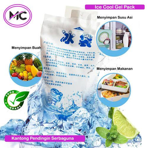 Jual Ice Pack Cool Gel Injeksi Kantong Air Dingin Kompres Pendingin Es ...