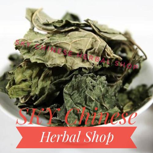 Jual Sang Ye 桑叶 / Mulberry Leaf / Folium Mori / Shuang Yek Leaves Daun ...