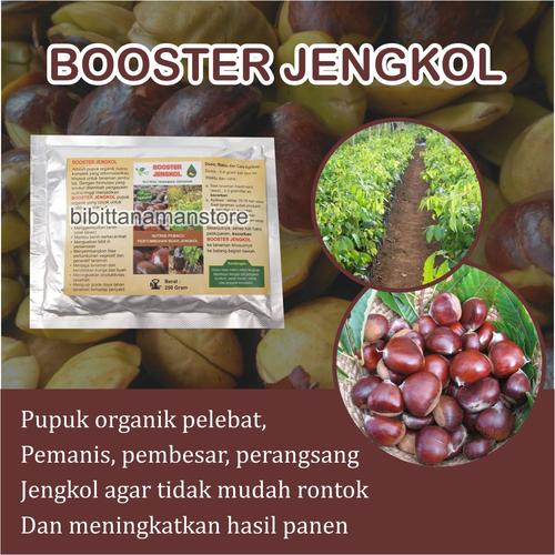 Jual Pupuk Organik Pelebat Buah dan Booster Jengkol Cepat Berbuah Lebat - Kab. Kediri - PUSAT ...