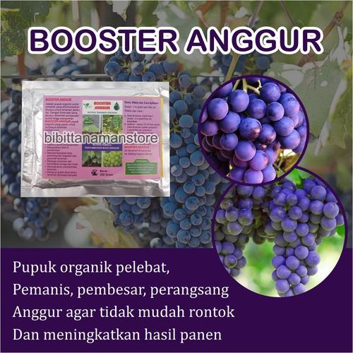 Jual Pupuk Organik Booster Anggur Cepat Berbuah, Pupuk Pelebat Buah - Kab. Kediri - PUSAT GROSIR ...