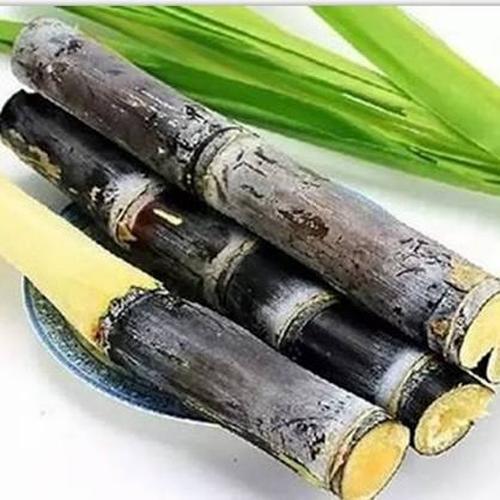 Jual Tebu Hitam/tebu ireng 100% asli fresh manis dan enak di konsumsi ...