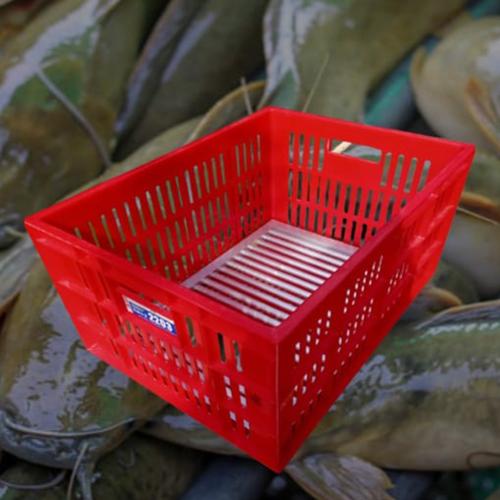 Jual Alat Sortir Ikan Lele Isi -/+ 6 Ekor Per Kg Grading Ayakan Ikan ...