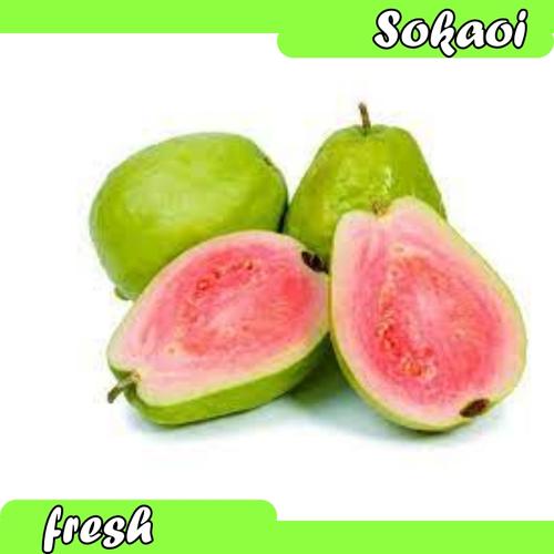 Jual JAMBU BATU MERAH BUAH SEGAR GUAVA FRESH FRUIT - Kota Denpasar ...