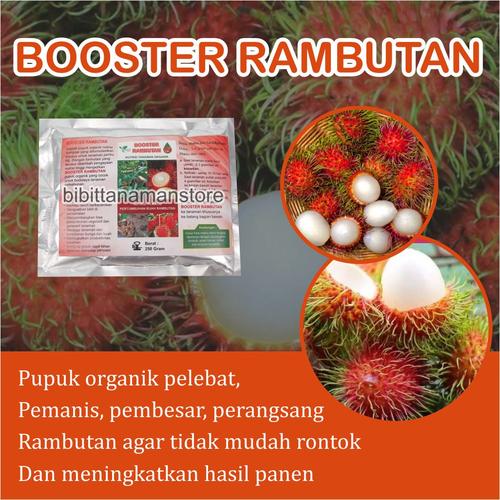 Jual Pupuk Organik Pelebat Buah dan Booster Rambutan Cepat Berbuah Lebat - Kab. Kediri - PUSAT ...