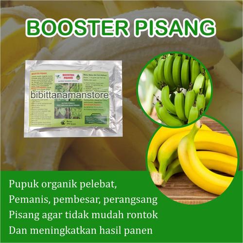 Jual Pupuk Organik Pelebat Buah dan Booster Pisang Cepat Berbuah Lebat - Kab. Kediri ...