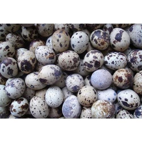 Jual Telor puyuh 250g dan 1kg - 1kg - Kab. Bekasi - Sayuran Online ...