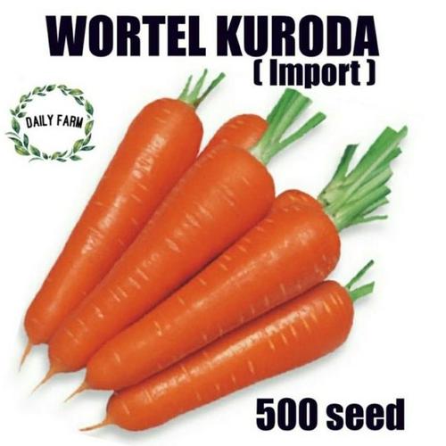 Jual Benih Bibit Kuroda Carrot - Wortel Kuroda Kemasan Repack Import ...