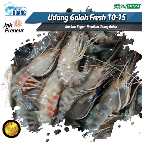 Jual Udang Galah Fresh 1kg 10-15 Ekor/Udang Galah Segar/Udang Pilihan ...