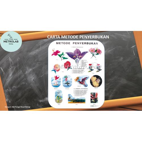 Jual Carta Metode Penyerbukan dgn Referensi uk. 70 x 100 cm, Art Paper ...