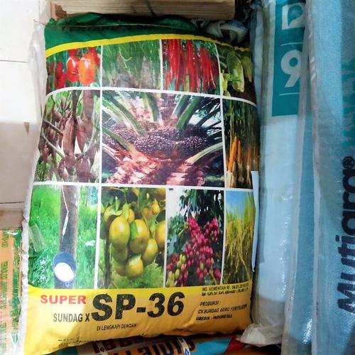 Jual Pupuk GSP Super Phosphate Sundag 50 kg Fosfat Tanaman TSP SP36 SP ...