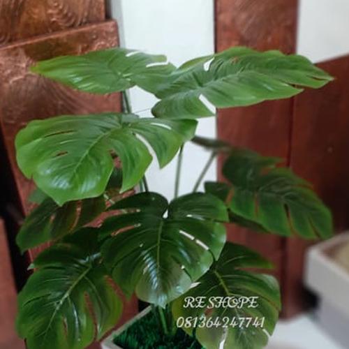 Jual bunga hias monstera pohon monstera pohon plastik artificial ...