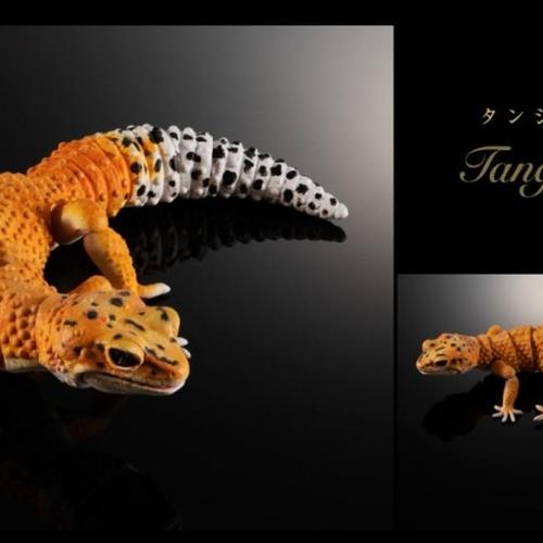Jual [Bandai] Premium Gashapon Gacha Leopard Gecko -Tangerine - Kota ...