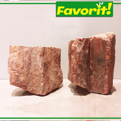 Jual Batu Fossil Hiasan Aquarium Aquascape Paduan Tanaman Air dan Ikan ...