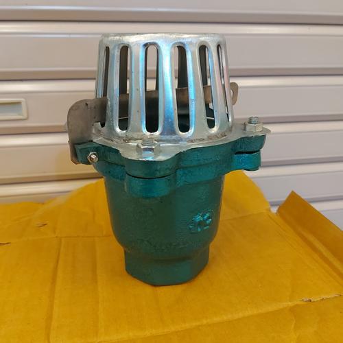 Jual Foot valve Mizu 3"inch Dn 80 Drat Foot Klep Cast iron - Jakarta ...