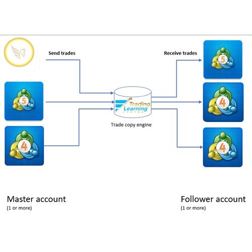 Jual Master Copy Trade Metatrader5 - 250 Account - Jakarta Selatan ...