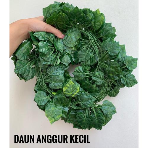 Jual Daun Rambat Plastik Artificial Lebar 3-4cm Murah - Anggur Bulat ...