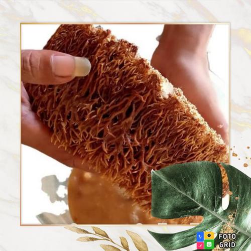 Jual AIR JAKABA 1000ML #pupuk organik segudang manfaat bagi semua ...