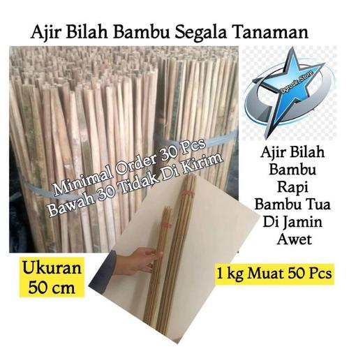 Jual AJIR BAMBU PENYANGGA SEGALA TANAMAN CABE,TERONG,TOMAT,BUNGA DLL ...