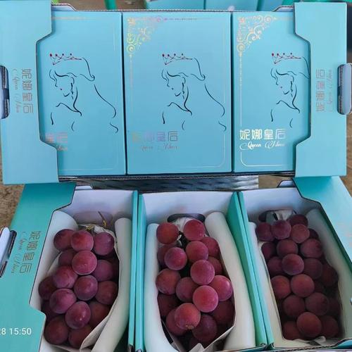 Jual Anggur Queen Nina Fresh Sedless 3 box / karton - Jakarta Barat ...