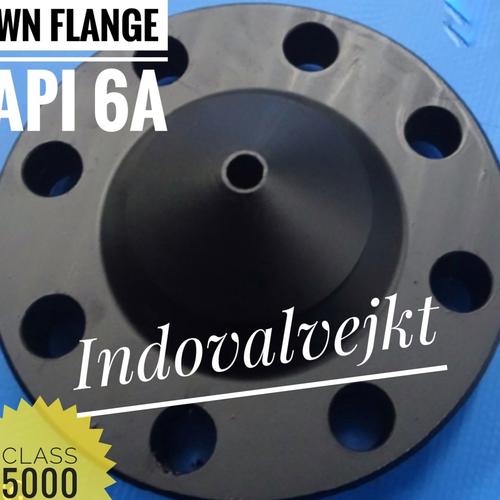 Jual Weld Neck Flange Class 5000 RTJ , API 6A 2-1/16" inch / Wn Flange ...
