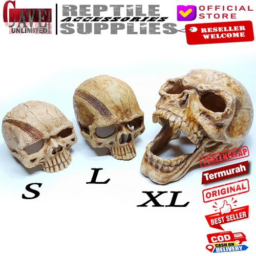 Promo TENGKORAK KEPALA MANUSIA HS007S HIDING SKULL SKELETON CAVE ...